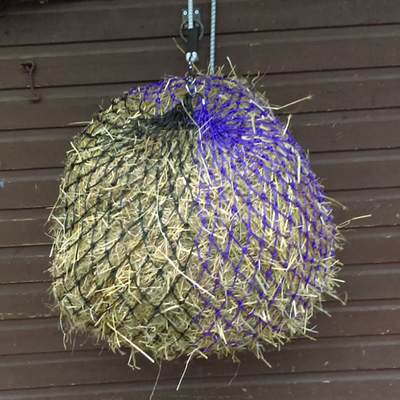 48 inch Purple/Black Easy-Net Hay Net.The Haynet Shop. Easy Net haynets ...